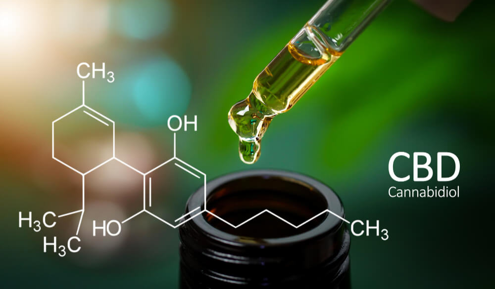 ¿Tiene el aceite de CBD un efecto inmediato? El concepto de ...